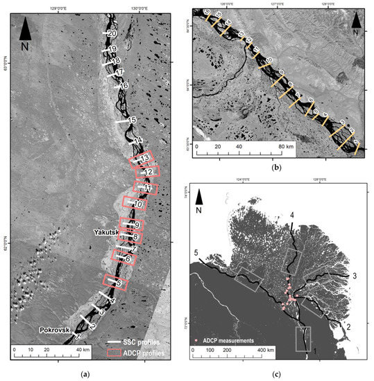 Sedimentation and Erosion Patterns of the Lena River Anabranching Channel