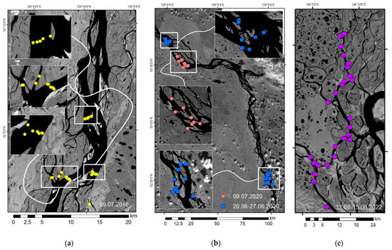Sedimentation and Erosion Patterns of the Lena River Anabranching Channel