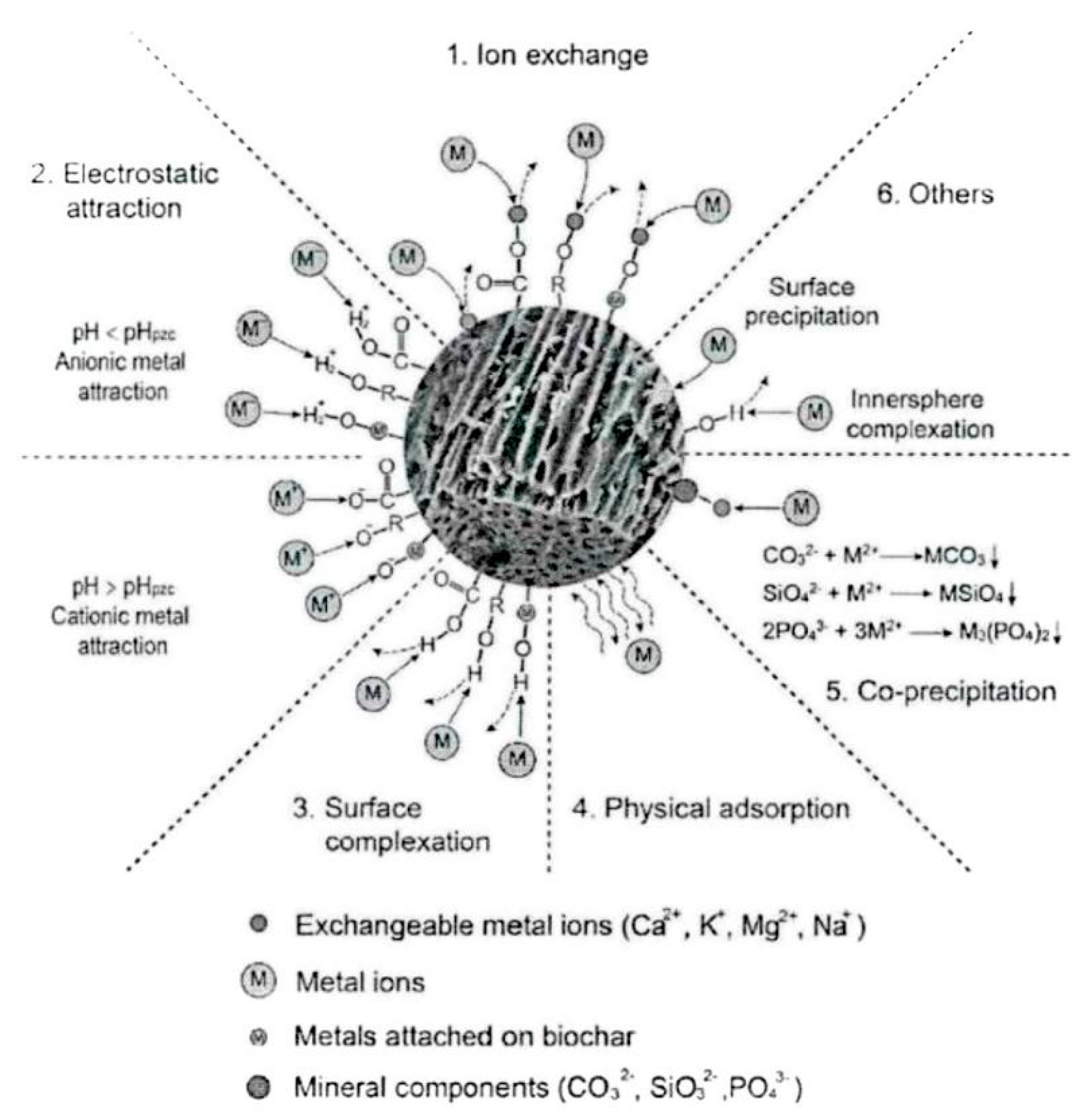 Water | Free Full-Text | Advances in the Study of Heavy Metal ... Water | Free Full-Text | Advances in the Study of Heavy Metal ...