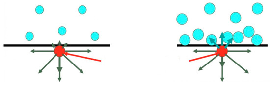 Advances in the Study of Heavy Metal Adsorption from Water and Soil by ...