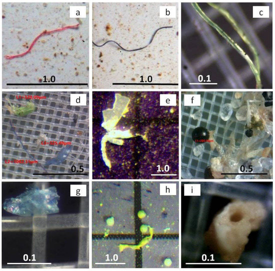 Microplastics in Freshwater: A Focus on the Russian Inland Waters