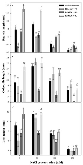 Effect of Using Trichoderma spp. on Turfgrass Quality under Different Levels of Salinity