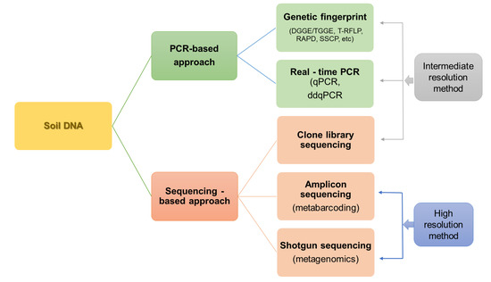 Soil Microbiome Study Based on DNA Extraction: A Review