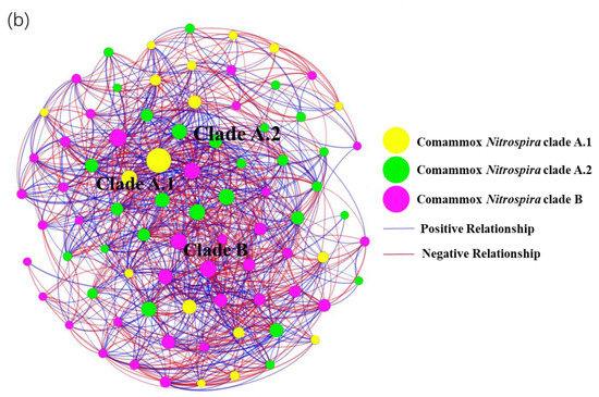 Effects of Dam Building on Niche Differentiation of Comammox Nitrospira ...