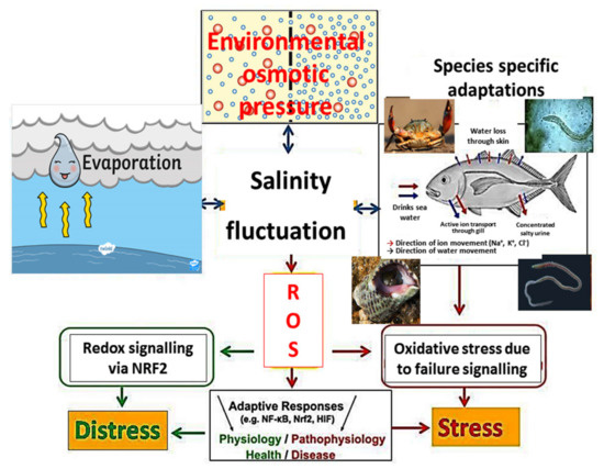 Influence of Anthropogenic Activities on Redox Regulation and Oxidative ...