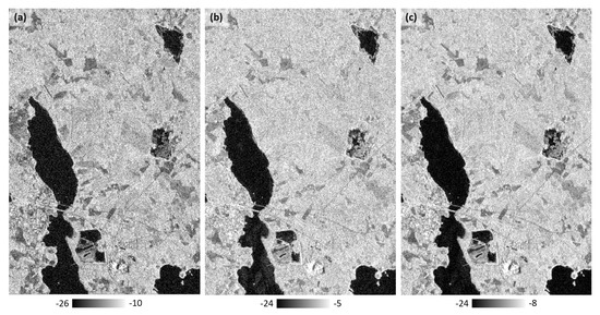 Surface Water Mapping from SAR Images Using Optimal Threshold Selection ...