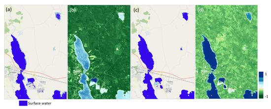 Water | Free Full-Text | Surface Water Mapping from SAR Images Using ...