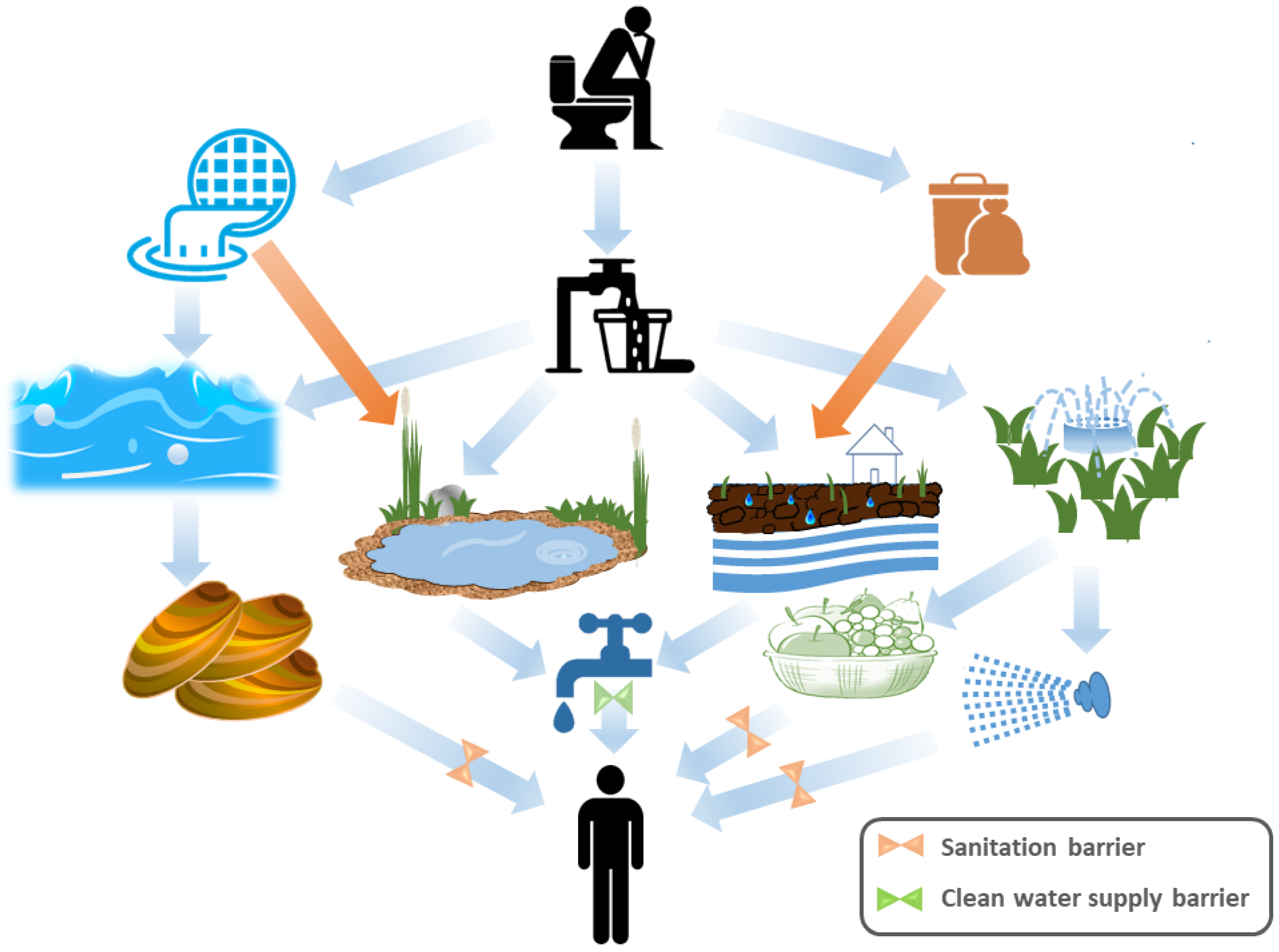 Water | Free Full-Text | Application of the Human Viral Surrogate ... Water | Free Full-Text | Application of the Human Viral Surrogate ...