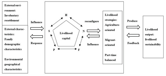 Influence of Livelihood Capital of Rural Reservoir Resettled Households ...