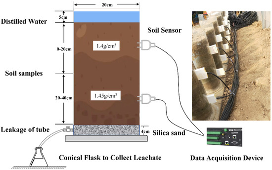 Bio-Organic Fertilizer Combined with Different Amendments Improves Nutrient Enhancement and Salt ...