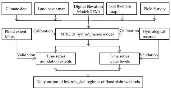 Modeling Hydrological Regimes of Floodplain Wetlands Using Remote Sensing and Field Survey Data