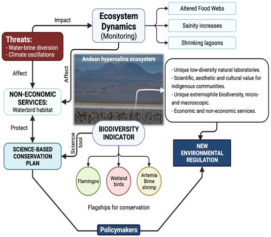 Ecosystems of Inland Saline Waters in the World of Change