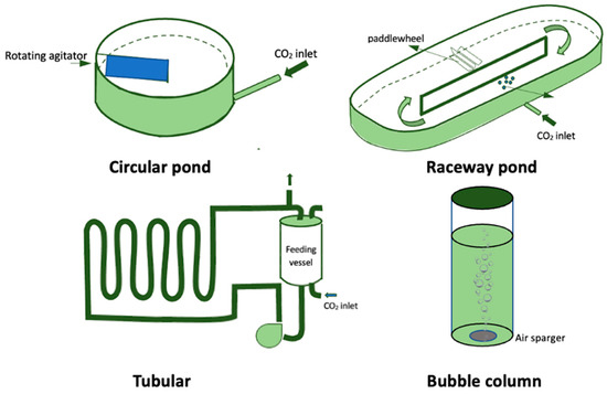 Microalgae-Enabled Wastewater Treatment: A Sustainable Strategy for Bioremediation of Pesticides