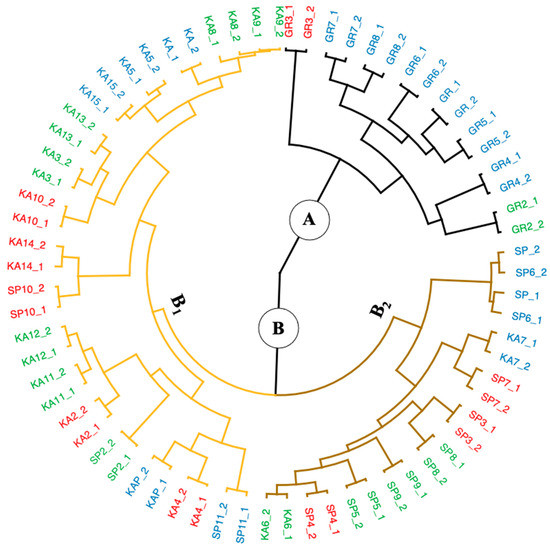 A Rapid Method for Authentication of Macroalgae Based on Vis-NIR ...