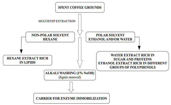 Coffee Industry and Ways of Using By-Products as Bioadsorbents for ...
