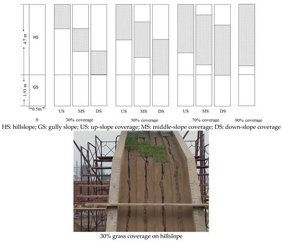 Impacts of Grass Coverage and Arrangement Patterns on Runoff and ...