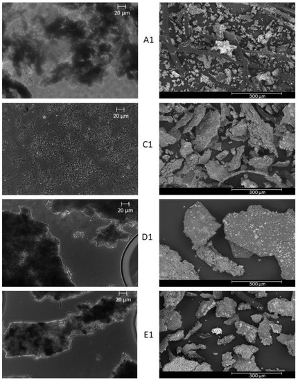 (Micro)Biological Sediment Formation in a Non-Chlorinated Drinking ...