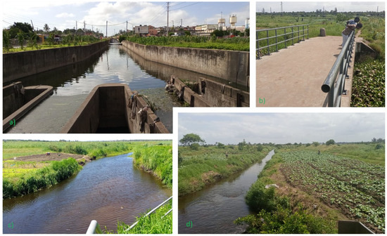 Assessment of Microbial Contamination in the Infulene River Basin ...