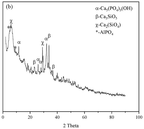 Phosphorus Recovery and Simultaneous Heavy Metal Removal from ISSA in a Two-Compartment Cell