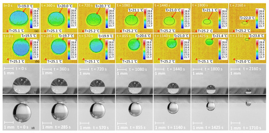 Evaporation Dynamics of Sessile and Suspended Almost-Spherical Droplets ...
