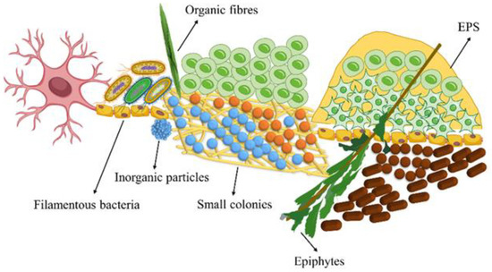 Advances in Chemical Conditioning of Residual Activated Sludge in China