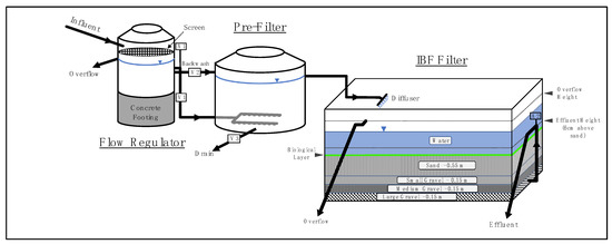 Sustainable Water Treatment with Induced Bank Filtration