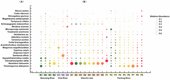 Fish Biomonitoring and Ecological Assessment in the Dianchi Lake Basin Based on Environmental DNA