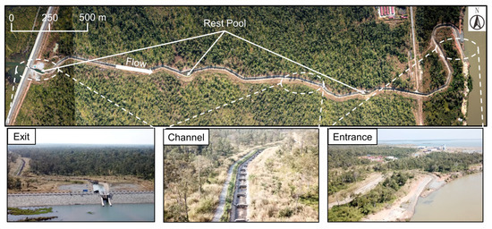 Evaluation of a Nature-like Bypass for Non-Salmonids in the Sesan River