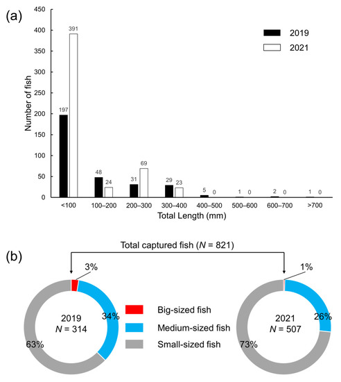 Evaluation of a Nature-like Bypass for Non-Salmonids in the Sesan River
