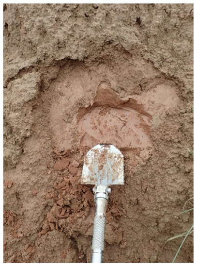 Propagation Modeling of Rainfall-Induced Landslides: A Case Study of ...