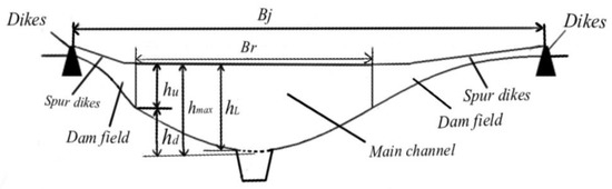 Hydraulic Geometry and Theory of Equilibrium Water Depth of Branching River