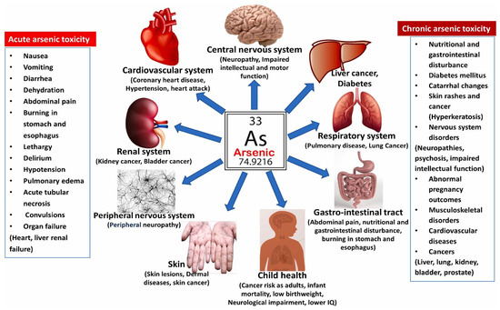 Water | Free Full-Text | A Comprehensive Review of the Latest ...