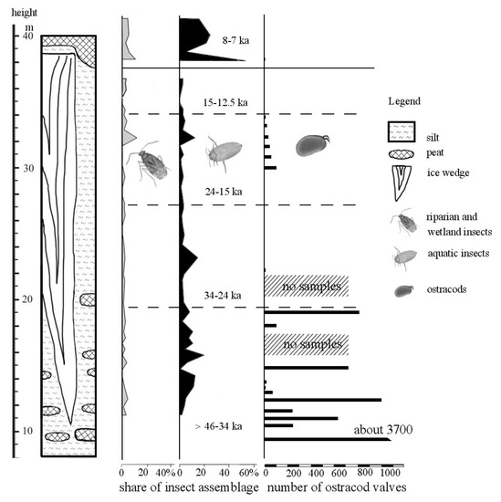 Wetlands in the Pleistocene Steppe-Tundra Landscapes of Beringia, Their ...