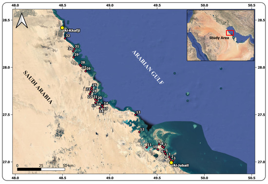 Contamination and Risk Assessment of Potentially Toxic Elements in ...