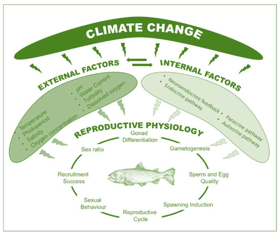 Climate Change and Reproductive Biocomplexity in Fishes: Innovative ...