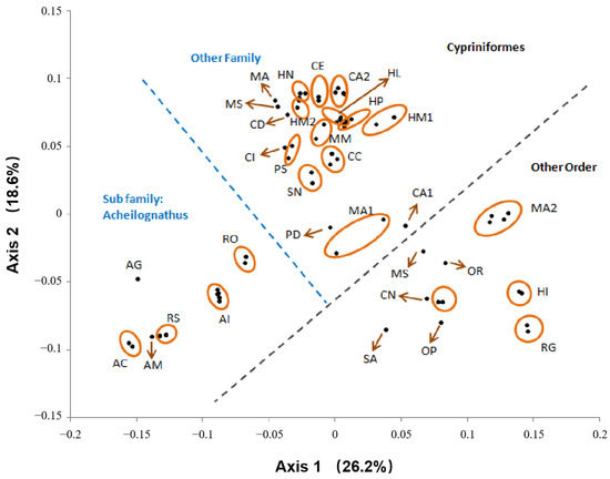 Next-Generation DNA Barcoding for Fish Identification Using High ...