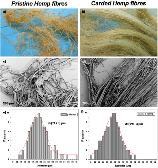 Recent Advances on Chemically Functionalized Cellulose-Based Materials ...