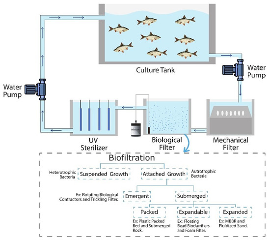 A Review of Bubble Aeration in Biofilter to Reduce Total Ammonia ...
