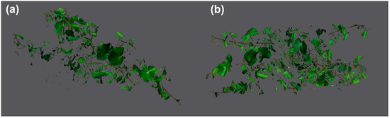 Investigation of Hillslope Vineyard Soil Water Dynamics Using Field ...