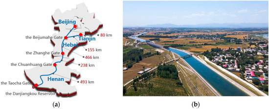 Calculation of Head Losses and Analysis of Influencing Factors of ...