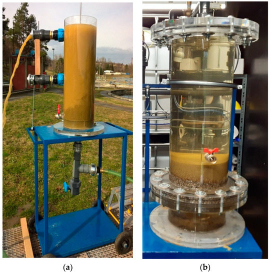 An Innovative Sorption Technology for Removing Microplastics from Wastewater