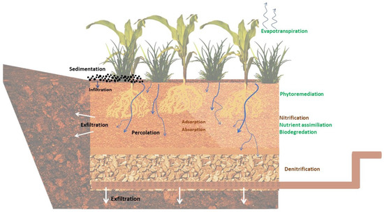 Evaluating the Effectiveness of Bioretention Cells for Urban Stormwater ...