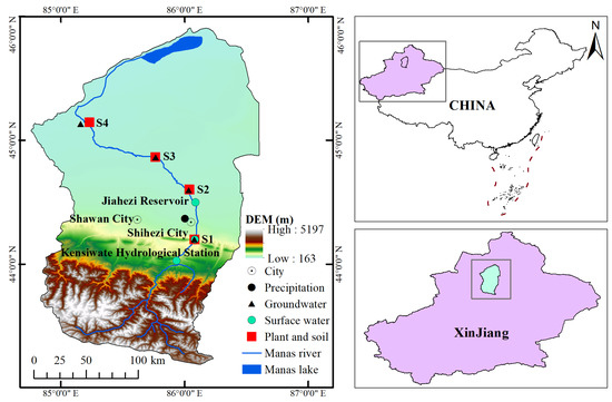 Source Water Apportionment Using Stable Isotopes for Typical Riparian ...