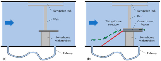 Evaluation of Hydraulics and Downstream Fish Migration at Run-of-River ...