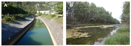 Methodological Framework for Assessing Hydromorphological Conditions of ...