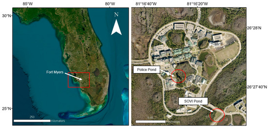 Stormwater Pond Evolution and Challenges in Measuring the Hydraulic ...