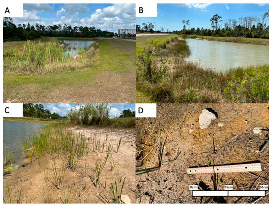 Stormwater Pond Evolution and Challenges in Measuring the Hydraulic ...
