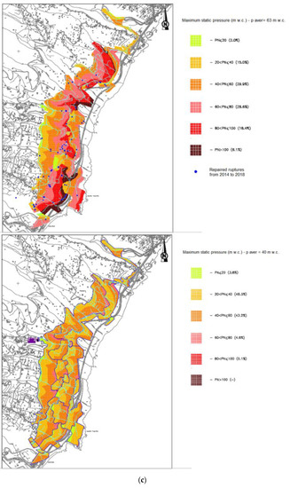 Smart Water Grids and Digital Twin for the Management of System ...
