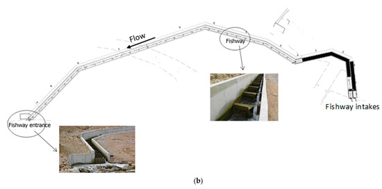 Retrofitting Vertical Slot Fish Pass with Brush Blocks: Hydraulics ...