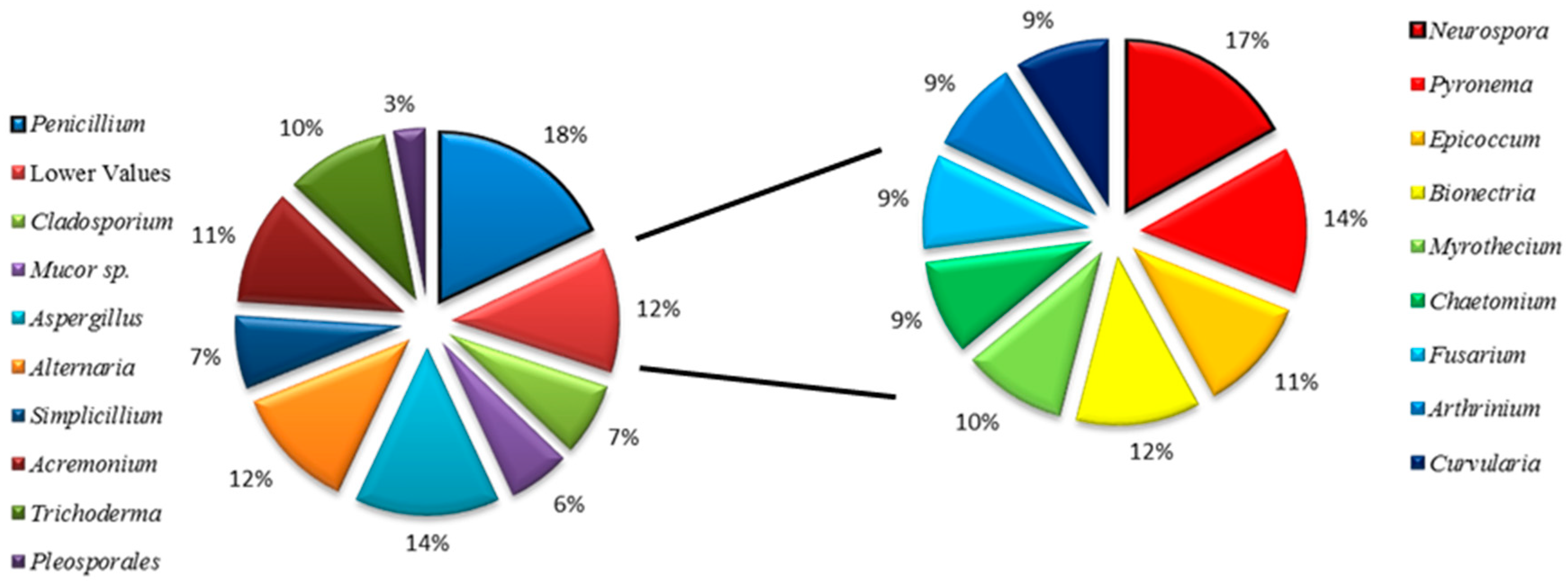 Quantity, Species, and Origin of Fungi in a Groundwater-Derived Water ...
